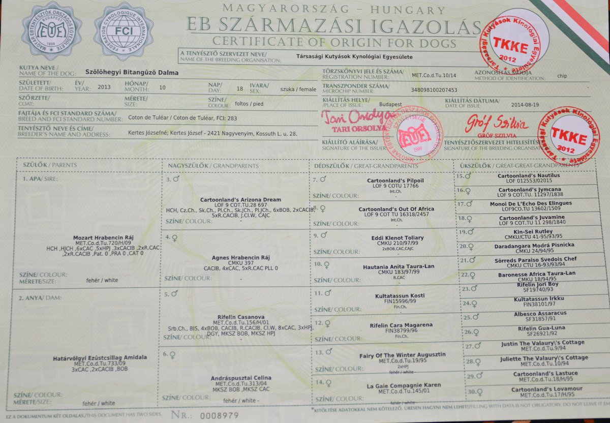 A Dog's Bloodline: 5 Facts you NEED to Know!