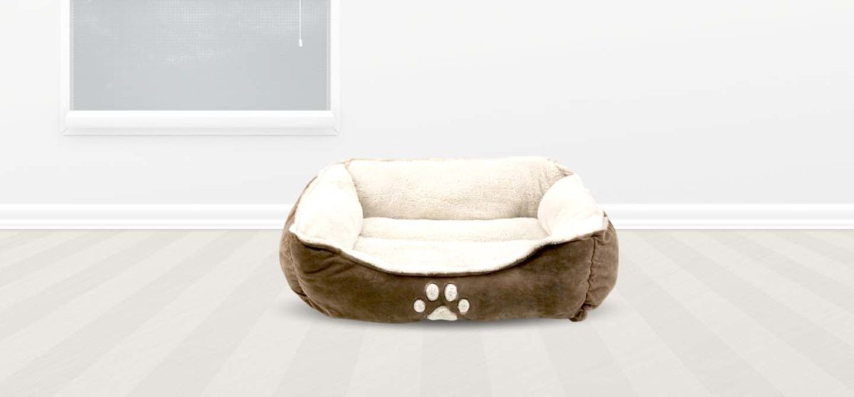 Moscow Watchdog Breed information & Pictures | EuroPuppy